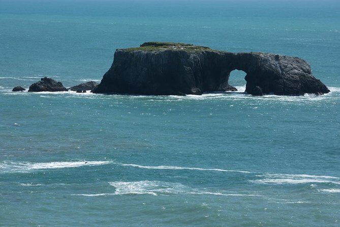 Small Group Redwoods, California Coast & Sausalito Day Trip from San Francisco - Who Should Consider This Tour?