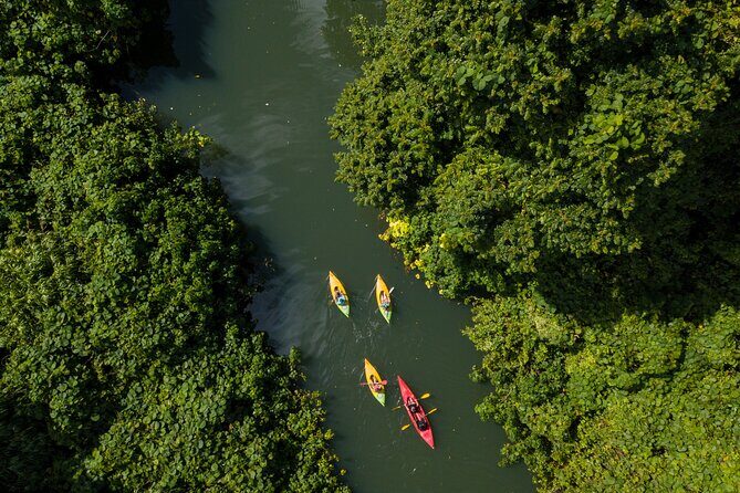 Small Group River Kayaking Tour from Port Vila - An Honest Look at the Experience