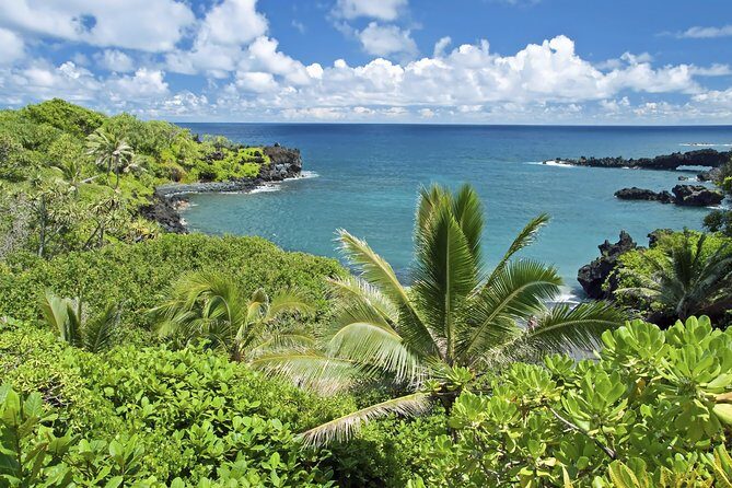 Small-Group Road to Hana Adventure Tour with Pickup & Lunch - The Value Proposition