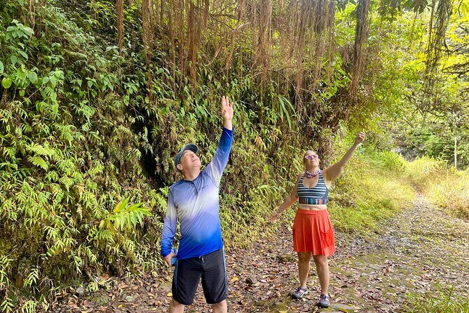 Small-Group Road to Hna Tour (Up to 4)  Hidden Gems Adventure - The Sum Up: Is This Tour Worth It?