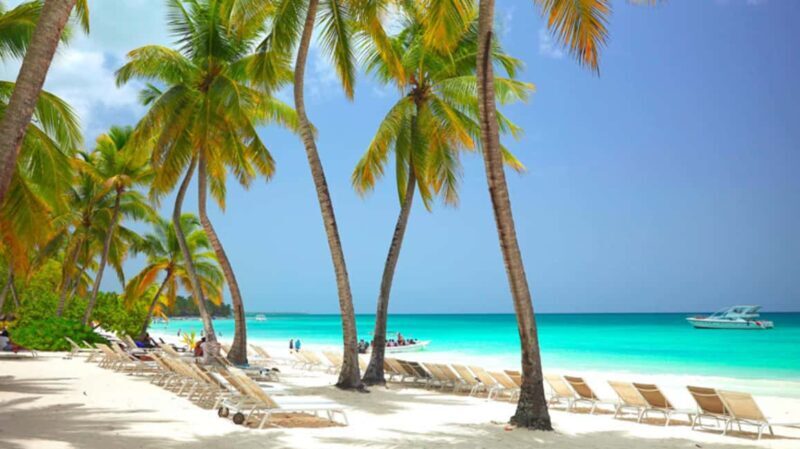 Small Group: Saona Island Full Day Tour Catamaran Open Bar - Who Is This Tour Best For?