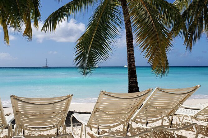 Small Group: Saona Island Full Day Tour - A Deep Dive into the Experience