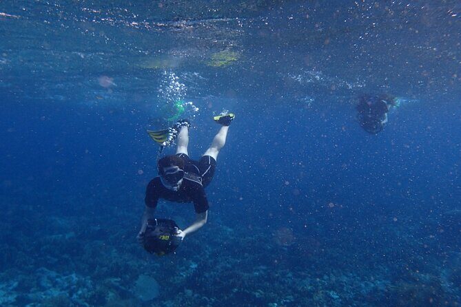 Small-Group Sea Scooters Snorkel at Mangel Halto Beach in Aruba - The Photos: A Cherished Bonus