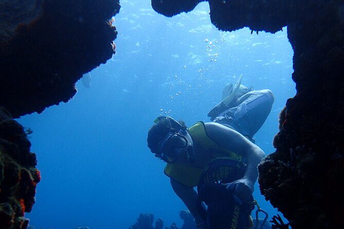 Small-Group Sea Scooters Snorkel at Mangel Halto Beach in Aruba - Equipment and Comfort