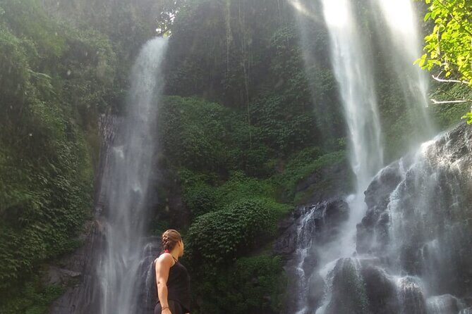 Small-Group Sekumpul Waterfall Jungle Trek with Lunch - What Travelers Say & Why It Matters
