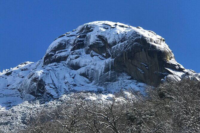 Small Group Sequoia Tour from Wuksachi Lodge with Lunch - Who Will Love This Tour?