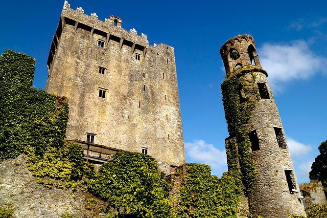 (Small Group) Shore Tour from Cork: Blarney Castle & Jameson Distillery - A Detailed Look at the Tour Experience