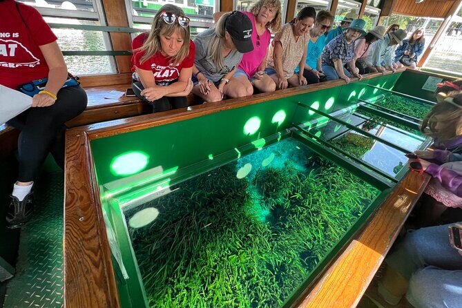 Small Group Silver Springs State Park 1-Day Tour from Orlando - FAQ