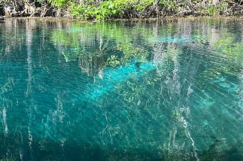 Small Group Silver Springs State Park Day Tour from Orlando - Key Points