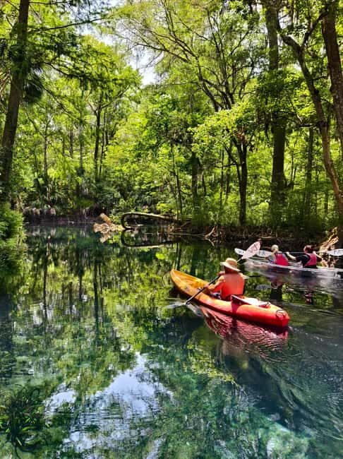 Small Group Silver Springs State Park Day Tour from Orlando - The Experience: What You Can Expect