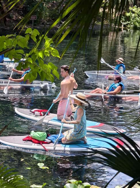Small Group Silver Springs State Park Day Tour from Orlando - Authentic Notes from Tour Participants