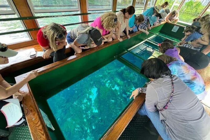 Small Group Silver Springs State Park Day Tour from Orlando - Why This Tour Is a Strong Choice