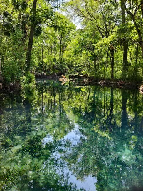 Small Group Silver Springs State Park Day Tour from Orlando - Who Would Love This?