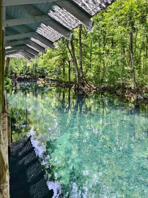 Small Group Silver Springs State Park Day Tour from Orlando - Who Might Want to Consider Other Options?