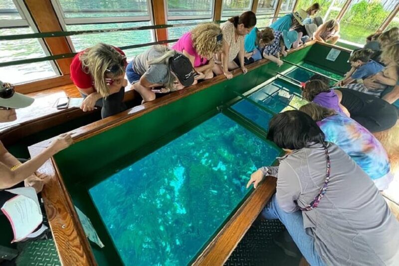 Small Group Silver Springs State Park Day Tour from Orlando - Free Time to Explore and Engage