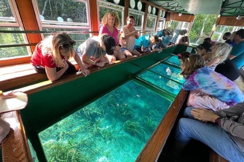 Small Group Silver Springs State Park Day Tour from Orlando - The Sum Up: Who Will Appreciate This Tour the Most?