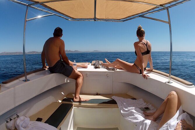 Small-Group Snorkel Adventure in San Jose del Cabo - The Value and Price Point
