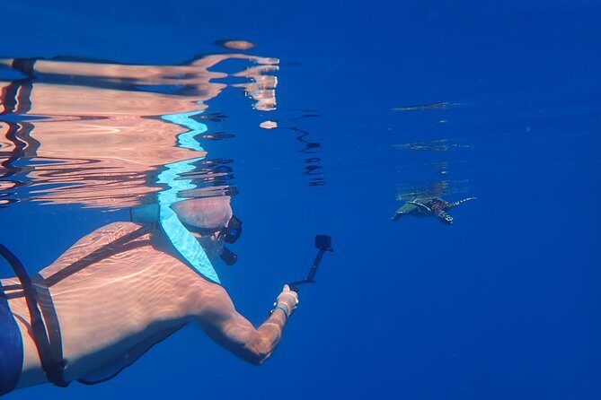 Small group snorkeling (5 people max): Turtles at 7:30am - What Makes This Tour Stand Out?