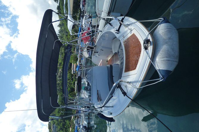 Small group snorkeling (5 people max): Turtles at 7:30am - The Marine Environment Youll Encounter