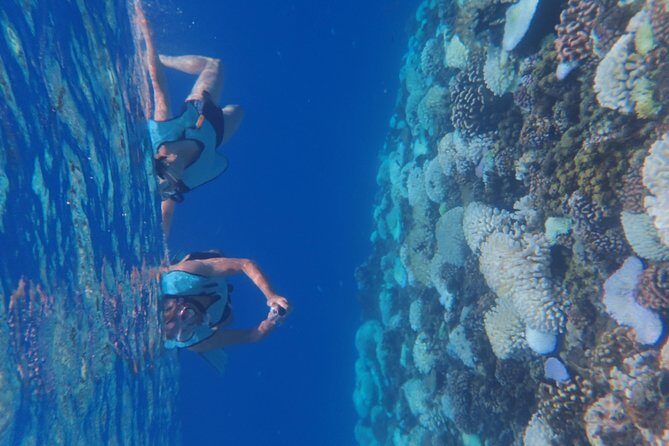 Small group snorkeling (5 people max): Turtles at 7:30am - Weather and Cancellation Policies