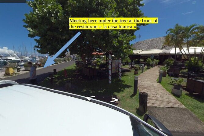 Small group snorkeling (5 people max): wrecks & tropical fishes at 1:00pm - What Travelers Are Saying