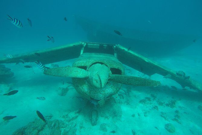 Small group snorkeling (5 people max): wrecks & tropical fishes at 1:00pm - Final Thoughts