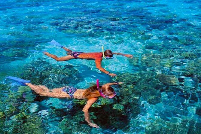 Small group snorkeling (5 people max): wrecks & tropical fishes at 1:00pm - FAQ