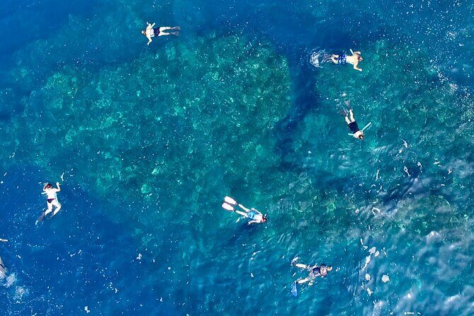 Small Group Snorkeling Expedition South Kona - An In-Depth Look at the South Kona Snorkeling Tour