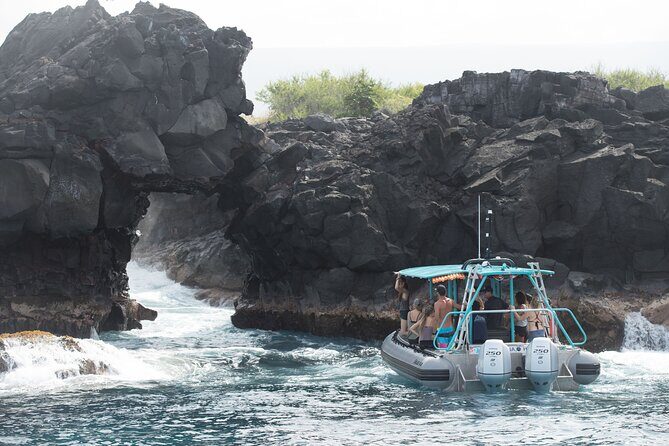 Small Group Snorkeling Expedition South Kona - Wildlife Sightings and Underwater Highlights