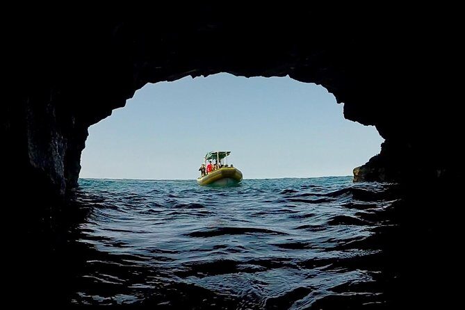 Small Group Snorkeling Expedition South Kona - Logistics: What You Need to Know