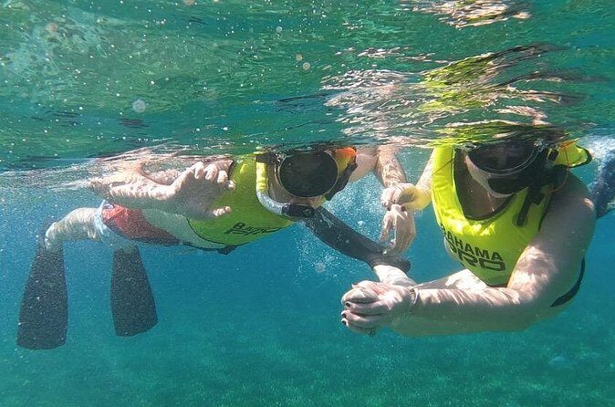 Small-Group Snorkeling Experience at Sea Garden - Authentic Experiences and Review Highlights