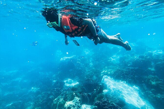 Small Group Snorkeling in Hikkaduwa - FAQ