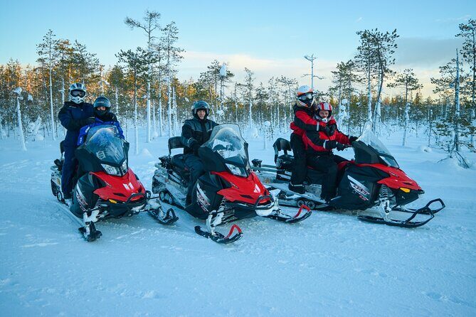 Small-Group Snowmobile Experience in Rovaniemi - Who Will Love This Experience?