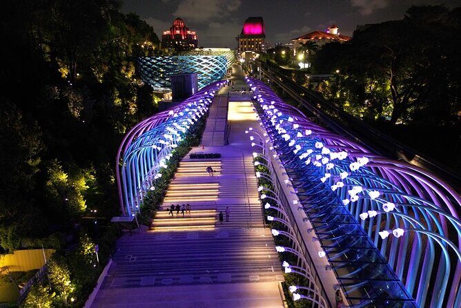 (Small Group) Starry Night Singapore Sentosa Tour - An In-Depth Look at the Sentosa Night Tour