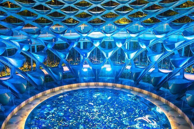 (Small Group) Starry Night Singapore Sentosa Tour - Is It Worth the Price?