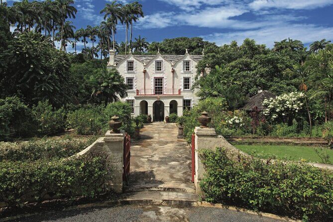 Small-Group Story of Rum Tour in its Birthplace of Barbados - What Could Be Improved?