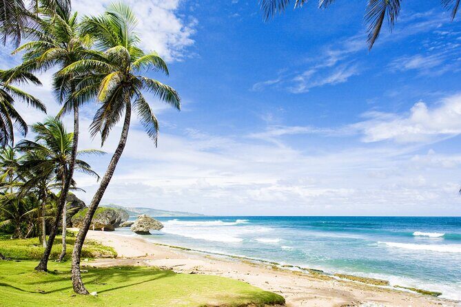 Small-Group Story of Rum Tour in its Birthplace of Barbados - FAQs