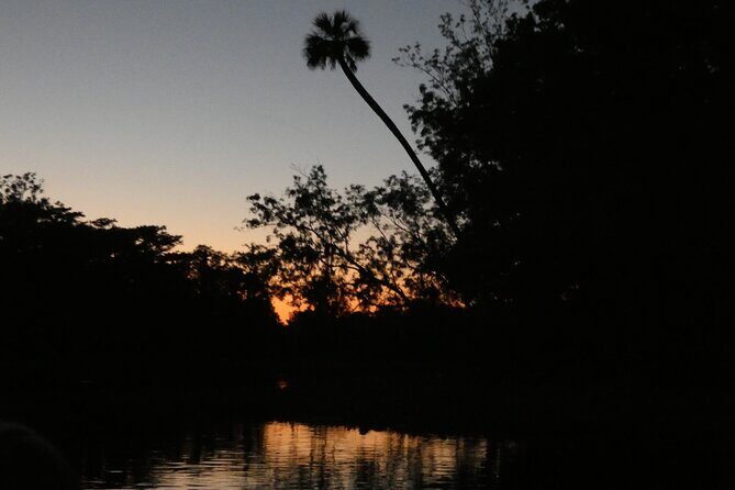 Small Group Sunset Paddle Among Manatees near Orlando - Key Points