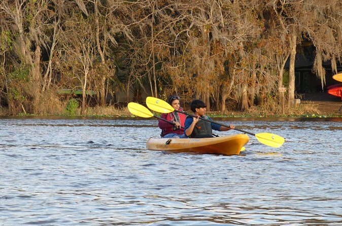 Small Group Sunset Paddle Among Manatees near Orlando - Who Will Love This Tour?