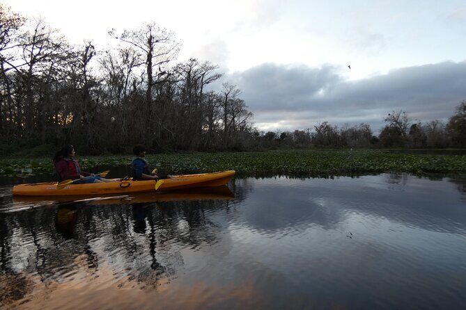 Small Group Sunset Paddle Among Manatees near Orlando - Final Thoughts