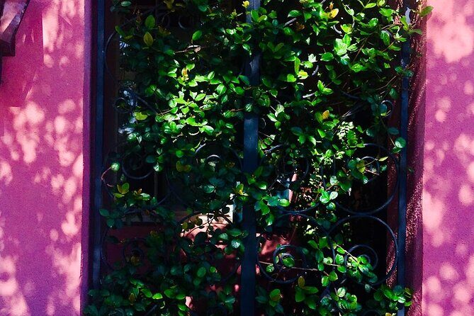 Small-Group Tour: Charleston Old Walled City Historical Walking Tour - Who Will Love This Tour?