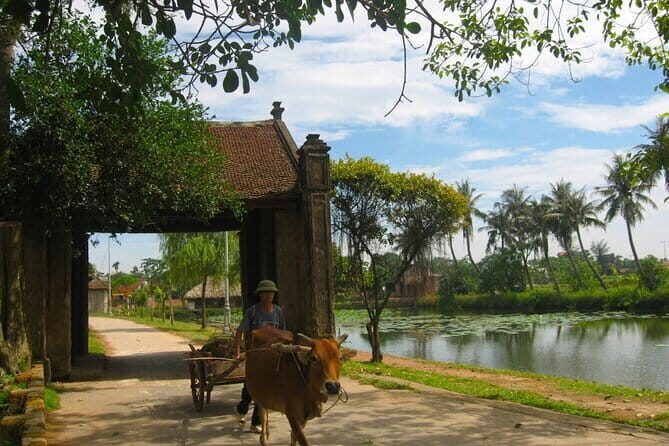 Small Group Tour Discover the best of Duong Lam Ancient Village - Key Points