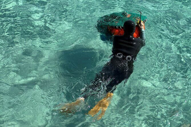 Small Group Tour for Jeju Autumn Snoopy Garden and Tangerine Cafe - Who Will Love This Tour?