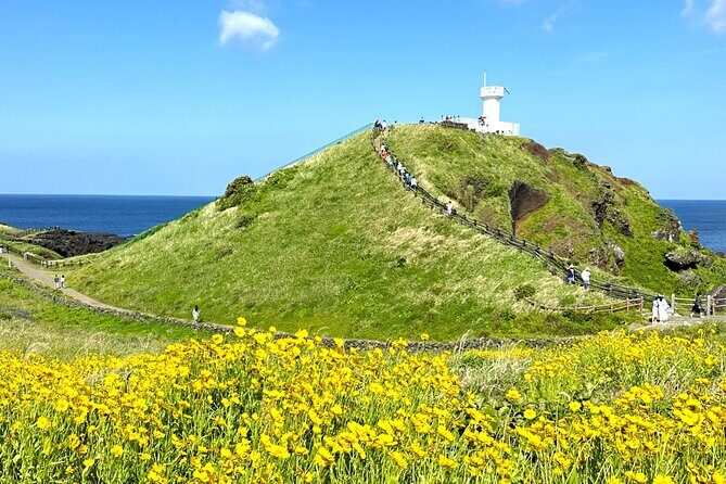 Small Group Tour for Jeju Autumn Snoopy Garden and Tangerine Cafe - FAQs