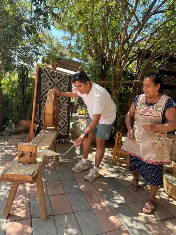 Small group tour: Hierve el Agua, Mezcal, Textiles, and the Tule tree - A Tour That Mixes Nature, Culture, and Craftsmanship in Oaxaca