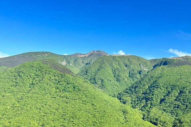 Small Group Tour in South Jeju Healing Island - FAQ