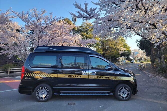 Small Group Tour in South Jeju Healing Island - Final Thoughts