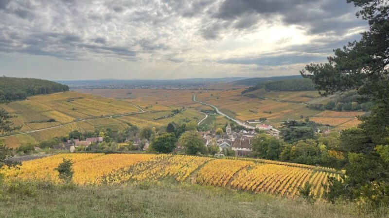 Small group tour Morning in Côte de Beaune - An Exploration of the Côte de Beaune in a Compact Package