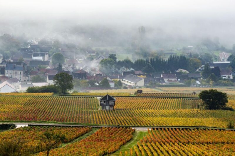 Small group tour Morning in Côte de Beaune - Deep Dive into the Experience: A Step-By-Step Look