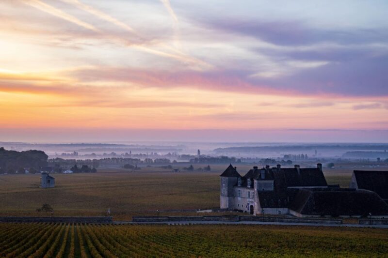Small group tour Morning in Côte de Beaune - Who Should Book This Tour?